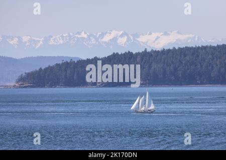 Sailboat in Canadian Landscape by the ocean and mountains Stock Photo ...