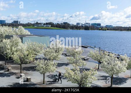Canberra. 16th Sep, 2022. Photo taken on Sept. 16, 2022 shows blooming ...