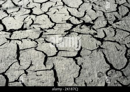 Desertification process where biological productivity is lost due to ...