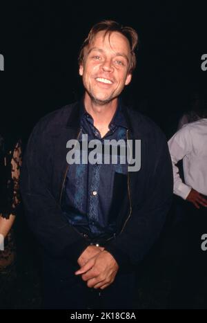 Mark Hamill 1992 Credit: Ralph Dominguez/MediaPunch Stock Photo - Alamy