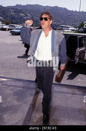 Mark Hamill 1993 Credit: Ralph Dominguez/MediaPunch Stock Photo - Alamy