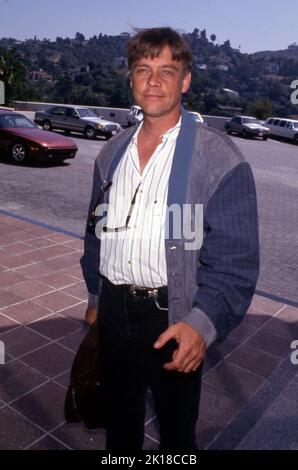 Mark Hamill 1993 Credit: Ralph Dominguez/MediaPunch Stock Photo - Alamy