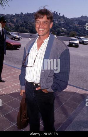 Mark Hamill 1993 Credit: Ralph Dominguez/MediaPunch Stock Photo - Alamy