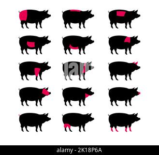 Pork, pig meat cutting vector vintage chart, cuts guide diagram. Pig ...