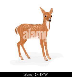 Roe deer color element. Hand drawn animals. Cartoon characters set ...