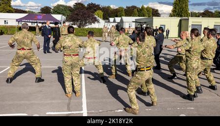 The Prince and Princess of Wales watch New Zealand troops performing ...
