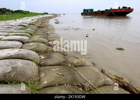 Dohar, Dhaka, Bangladesh. 16th Sep, 2022. To prevent the erosion of the ...