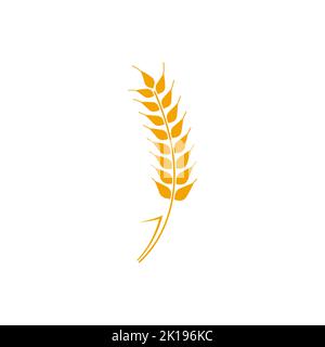 Wheat wreaths logo. Wheat ear icon. Vector agriculture ears symbol ...