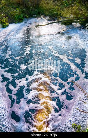 Brown swamp water full of organic substances flows down the pipe and ...