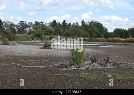 dry swamp lake with a little waterhole left Stock Photo - Alamy