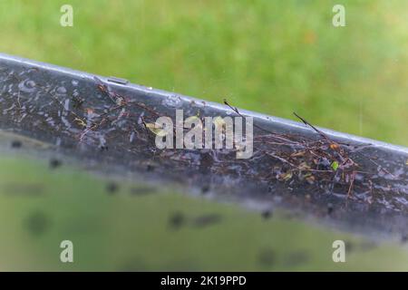 A portrait of a roof gutter overflowing with water during a rainy day ...