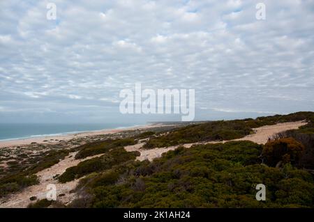Great Australian Bight Marine Park Stock Photo - Alamy
