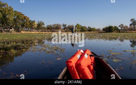 Maun, Botswana - makoro ride on the wetland at Pompom camp in the ...