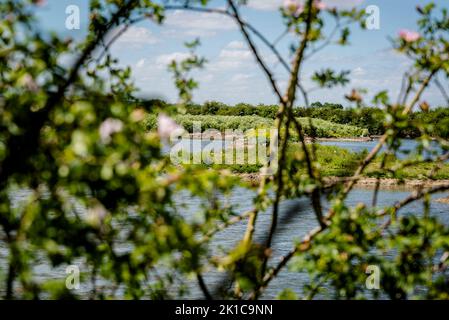 RSPB Nature reserve Cliffe Pools, Kent, England, UK Stock Photo - Alamy