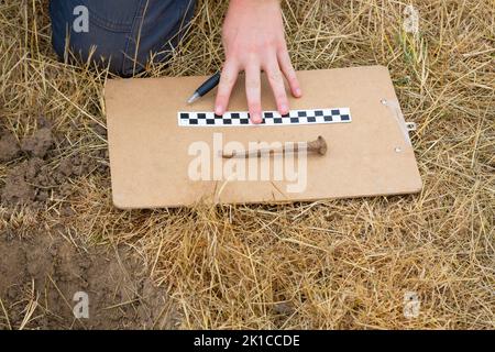 An archaeological dig at Smallhythe Place in Kent. Believed to be the ...