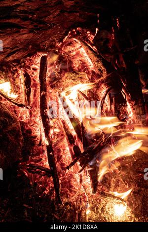 A vertical closeup shot of the burning red rose on the blurry ...
