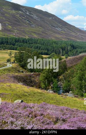 Glen Callater, a Site of Special Scientific Interest within The ...