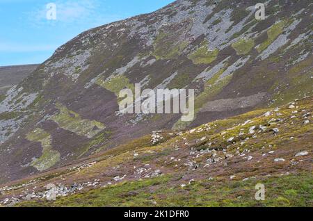 Glen Callater, a Site of Special Scientific Interest within The ...