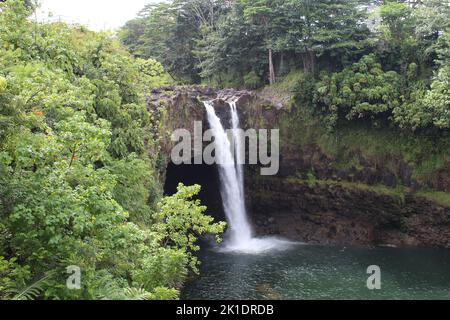 Green Turtles, Waterfalls, and Sunsets over the ocean Stock Photo - Alamy