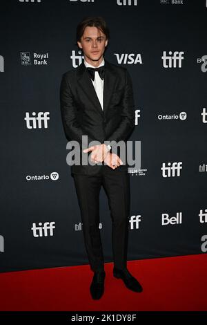 Christopher Briney attends the screening of the movie The Daliland ...