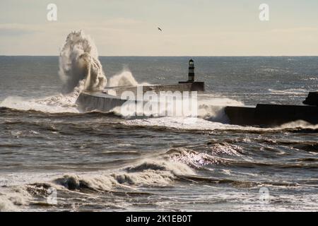 UK weather Seaham 17-9-2022 Large waves break over the pier at Seaham ...