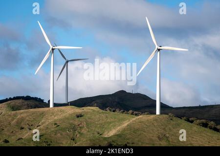 Wind turbine near Ashurst, Tararua District, North Island, New Zealand ...