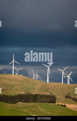 Wind turbine near Ashurst, Tararua District, North Island, New Zealand ...