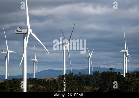Wind turbines near Woodville, Tararua District, North Island, New ...