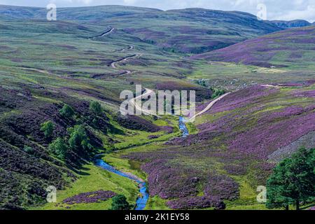 Heather clad hills at Garbole, Farr, Scotland, United Kingdom Stock ...