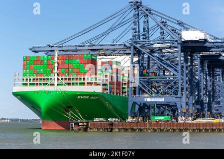 Evergreen Ever Act container ship and gantry cranes on quayside, Port ...