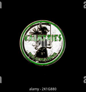 USAF 495th Fighter Squadron Challenge Coin RAF Lakenheath F35 Valkyries ...