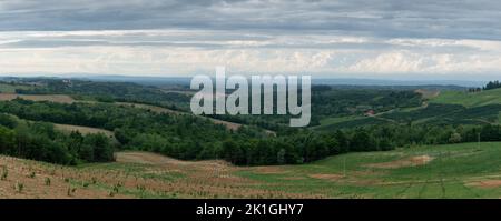 Hilly village with arable lands and forests, rural landscape with ...