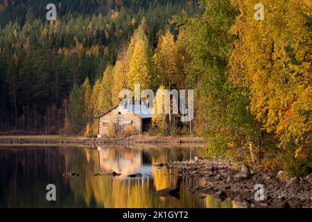 Stony shore, colorful yellow trees, and a wooden building in bright ...