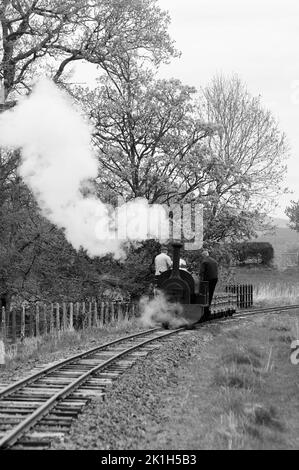 "Winifred" and train at Llangower Stock Photo - Alamy