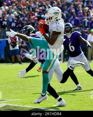 Baltimore Ravens cornerback Jalyn Armour-Davis (5) runs during an NFL ...
