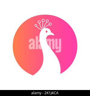 Letter X Beautiful Peacock Logo Template Vector Template Colorful ...