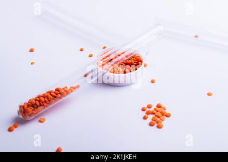 Germination of seeds in the laboratory. Selection and suitability test ...