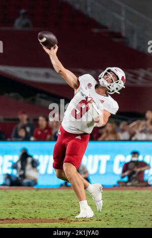 Fresno State Bulldogs quarterback Jake Haener (9) drops back for a pass ...