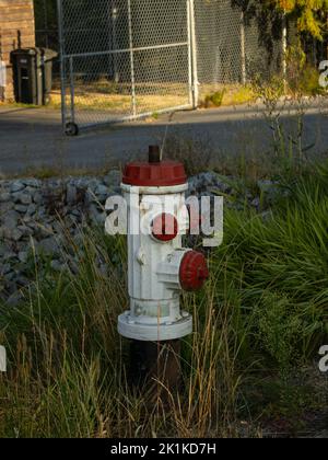 A vertical shot of a red water hydrant on a sidewalk Stock Photo - Alamy