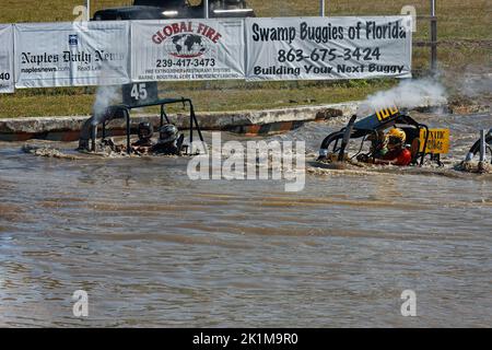 swamp buggies, racing, mostly submerged in water, contest, motion ...