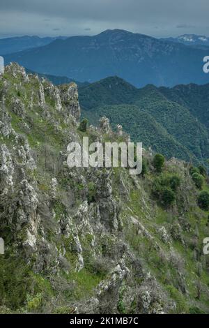 Limestone cliffs and Wooded limestone ridges between Monte Tremalzo and ...