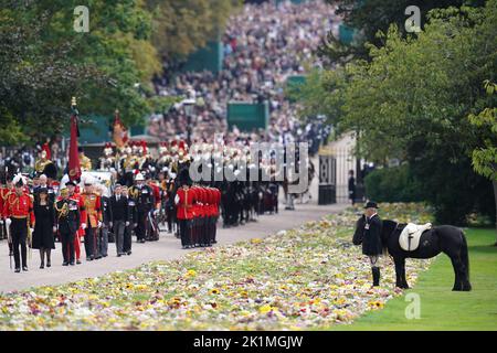 Emma, the monarch's fell pony, stands as the Ceremonial Procession of the coffin of Queen ...