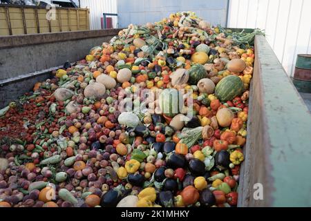 Expired Organic bio waste. Mix Vegetables and fruits in a huge ...