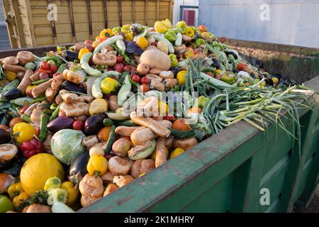 Expired Organic bio waste. Mix Vegetables and fruits in a huge ...