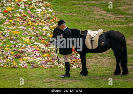 Emma, the monarch's fell pony, stands as the Ceremonial Procession of the coffin of Queen ...