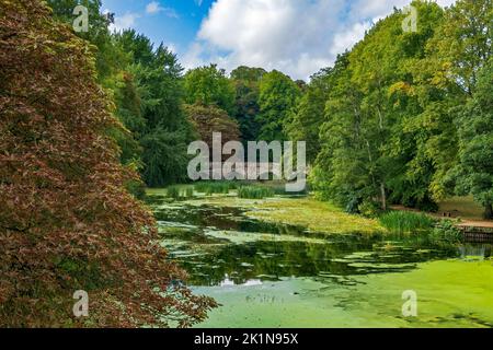 Bridge and weir over the river Stour at Blandford Forum, Dorset ...