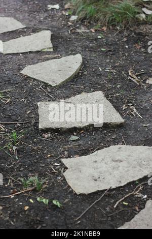 Stone path winding thru the summer meadow in a faded background ...
