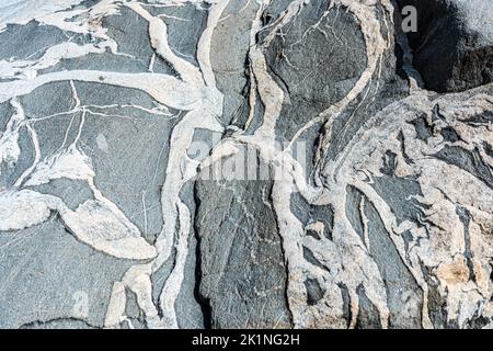 dark and light grey migmatite rock sanded down by the sea Stock Photo ...