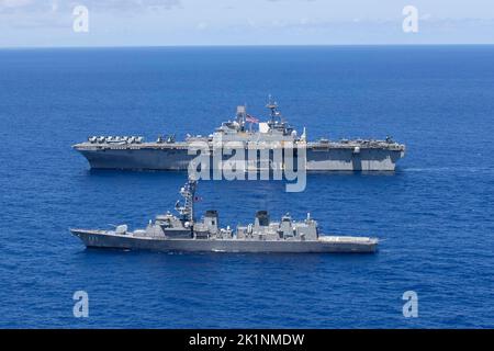 Fleet of JMSDF (Japan Maritime Self-Defense Force) ships Stock Photo ...