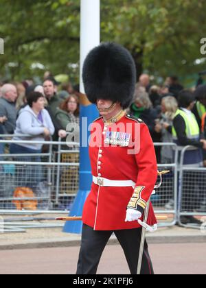 A soldier wearing a bearskin on The Mall at the state funeral of Queen ...